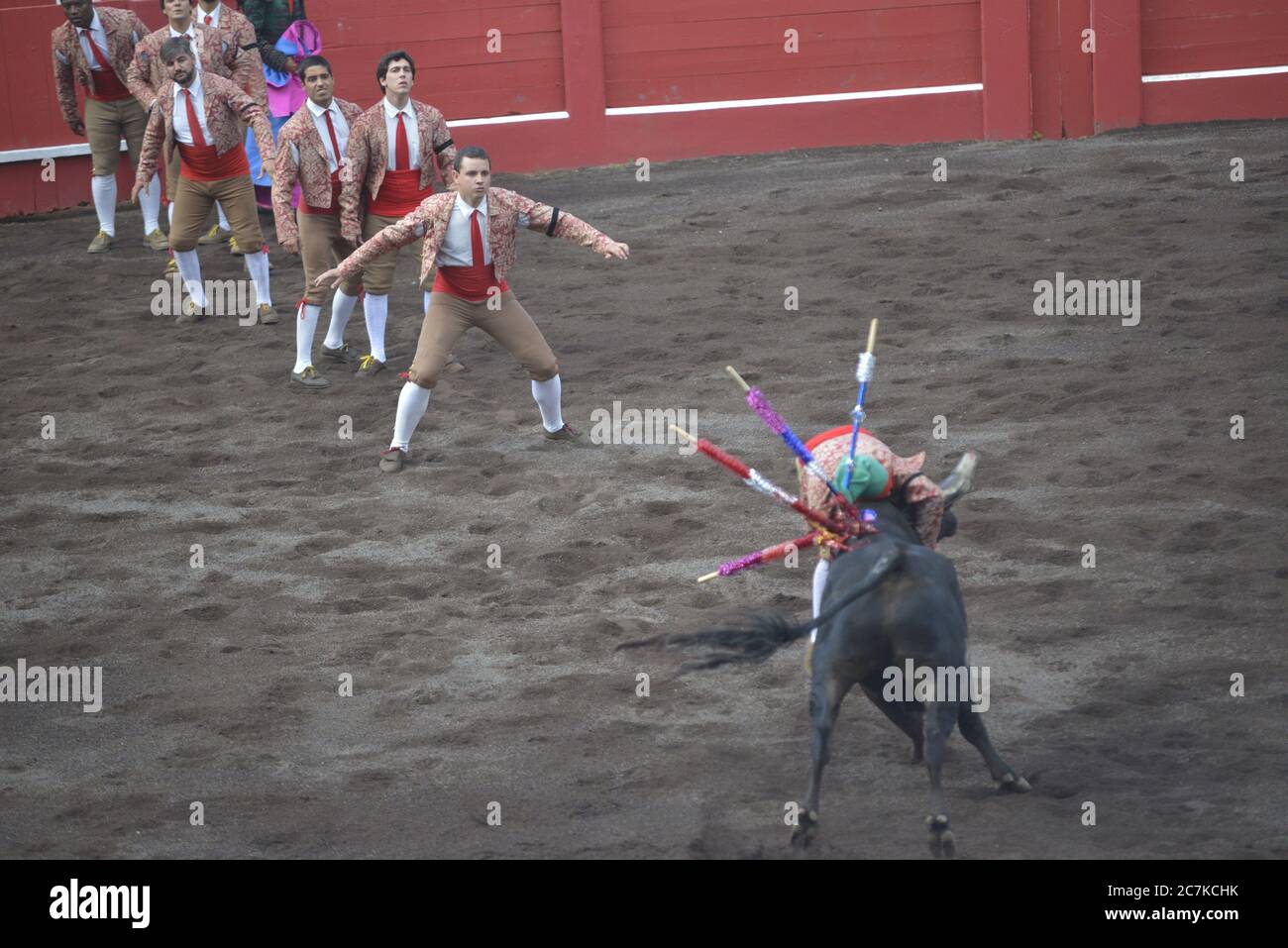 Azores bullfighting hi-res stock photography and images - Alamy