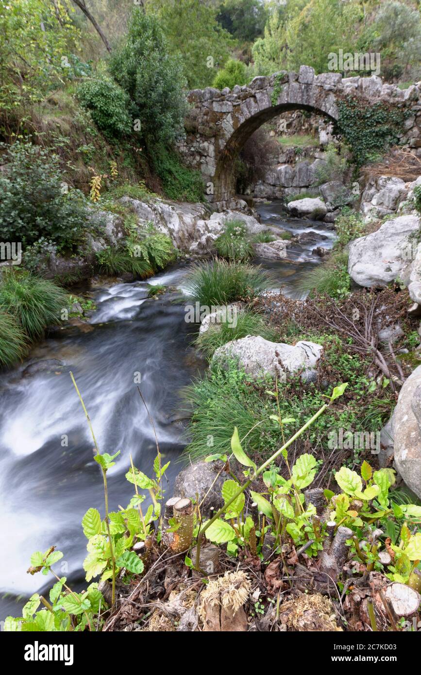 Portugal barroco hi-res stock photography and images - Alamy