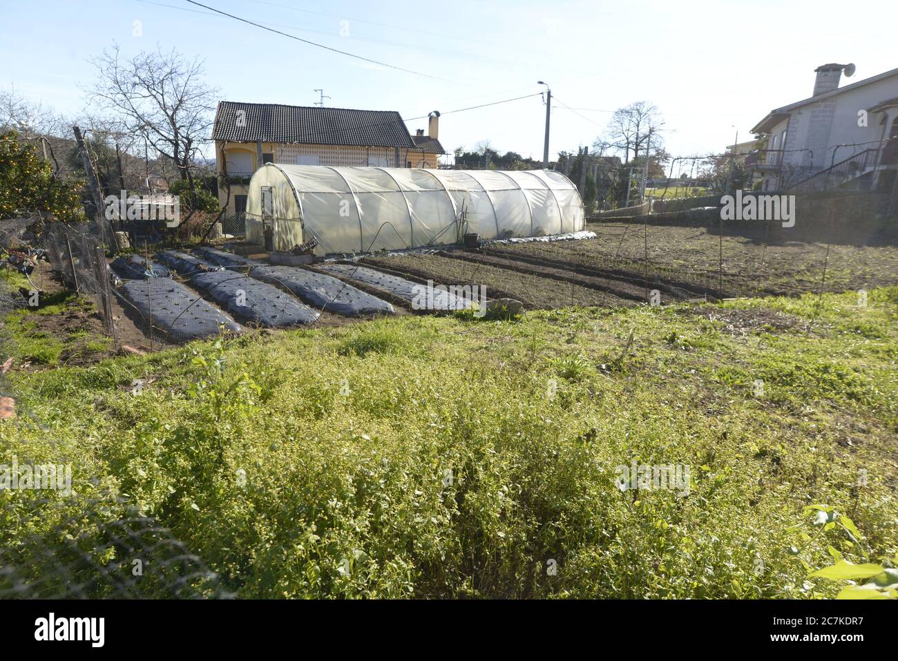 urban small agriculture plot Stock Photo - Alamy