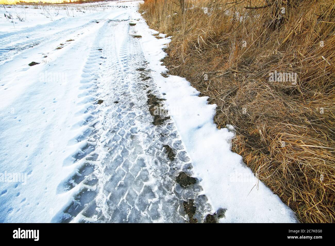 Tree with time traces hi-res stock photography and images - Alamy