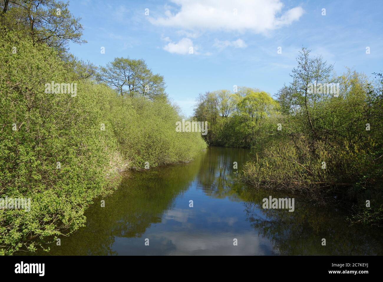 Schwentine River, Eutin, Schleswig-Holstein, Germany, Europe Stock ...