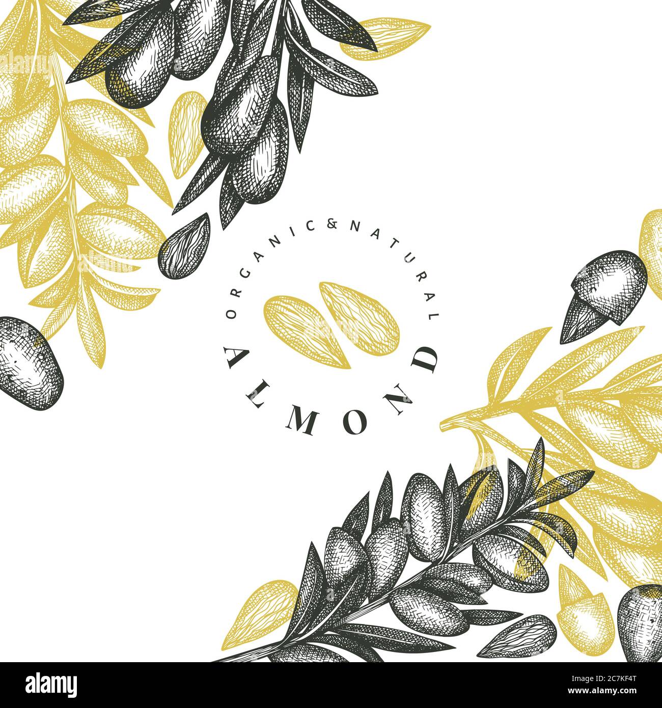 Hand drawn sketch almond design template. Organic food vector ...