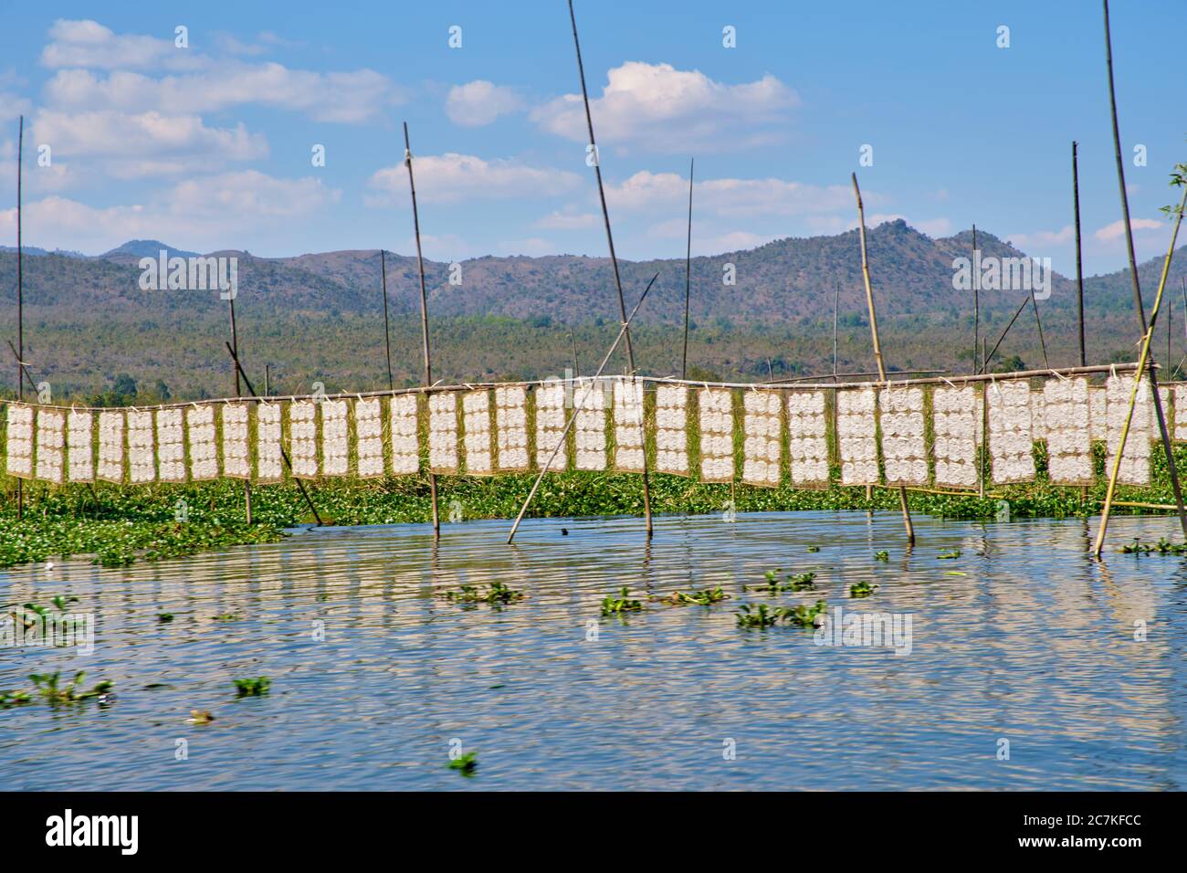 Compressed Rice Cake High Resolution Stock Photography and Images - Alamy