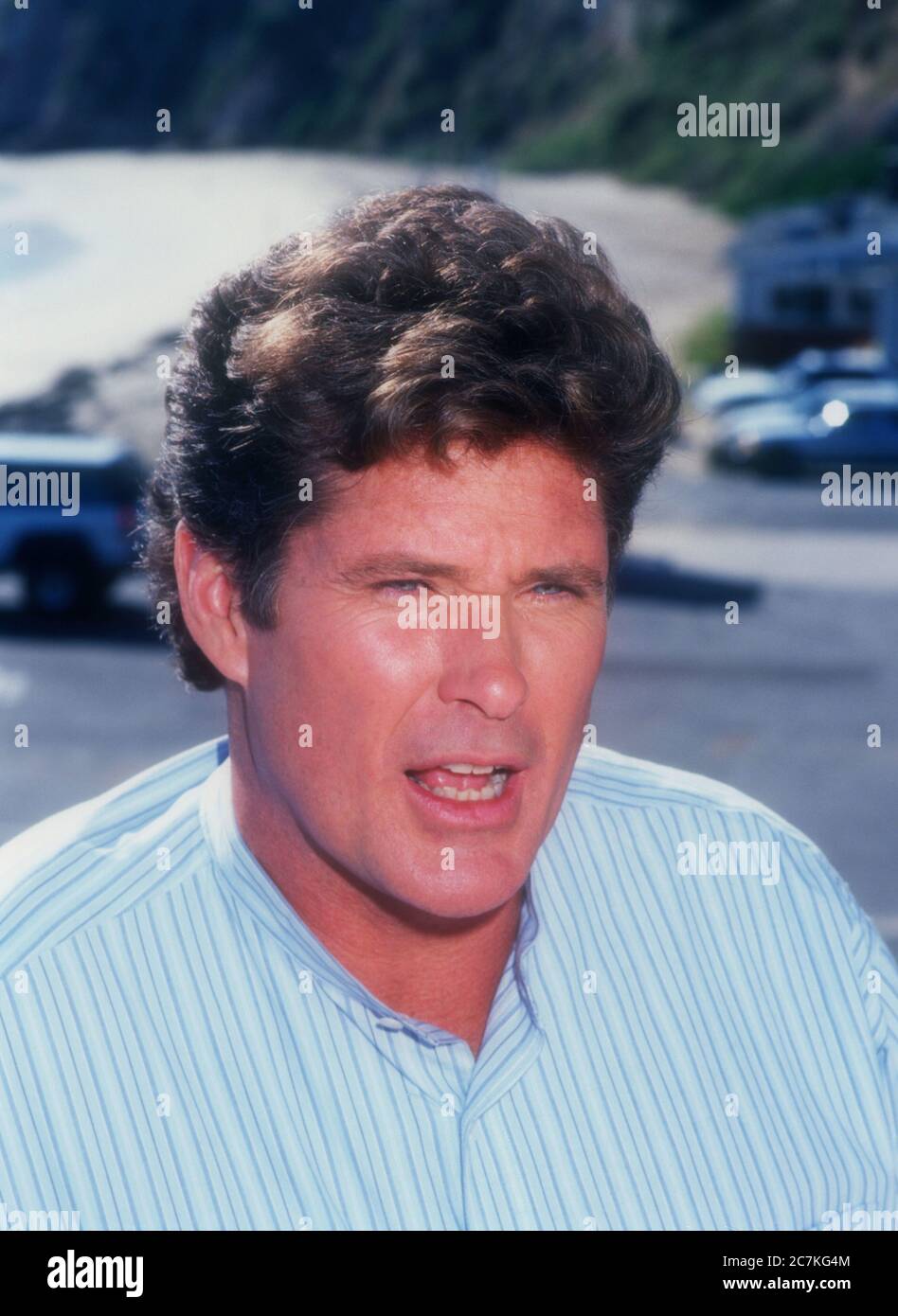 Malibu, California, USA 18th January 1996 (Exclusive) Actor David ...