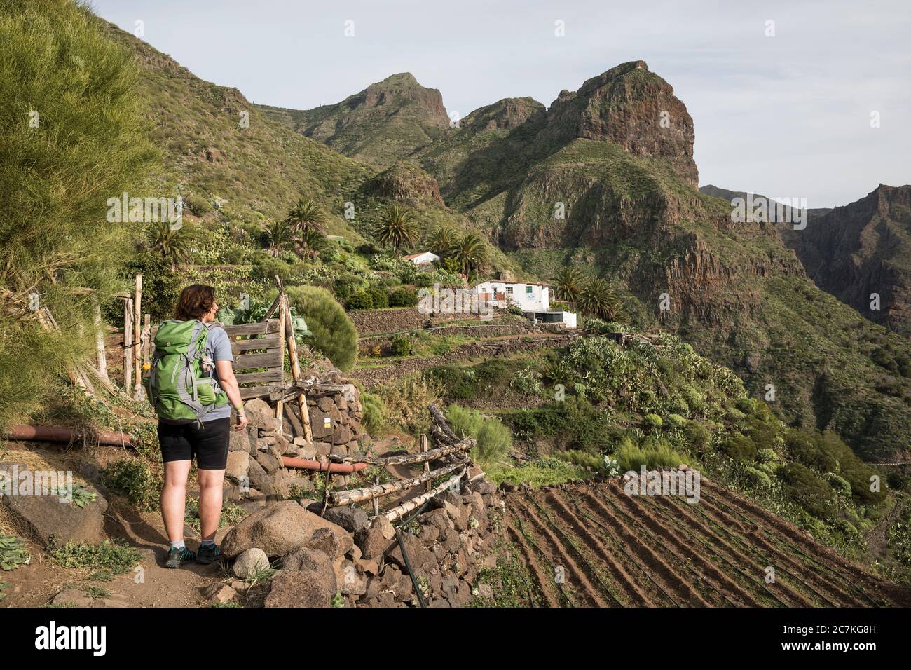 Hike in the Teno Mountains to the mountain village of Masca, Tenerife ...