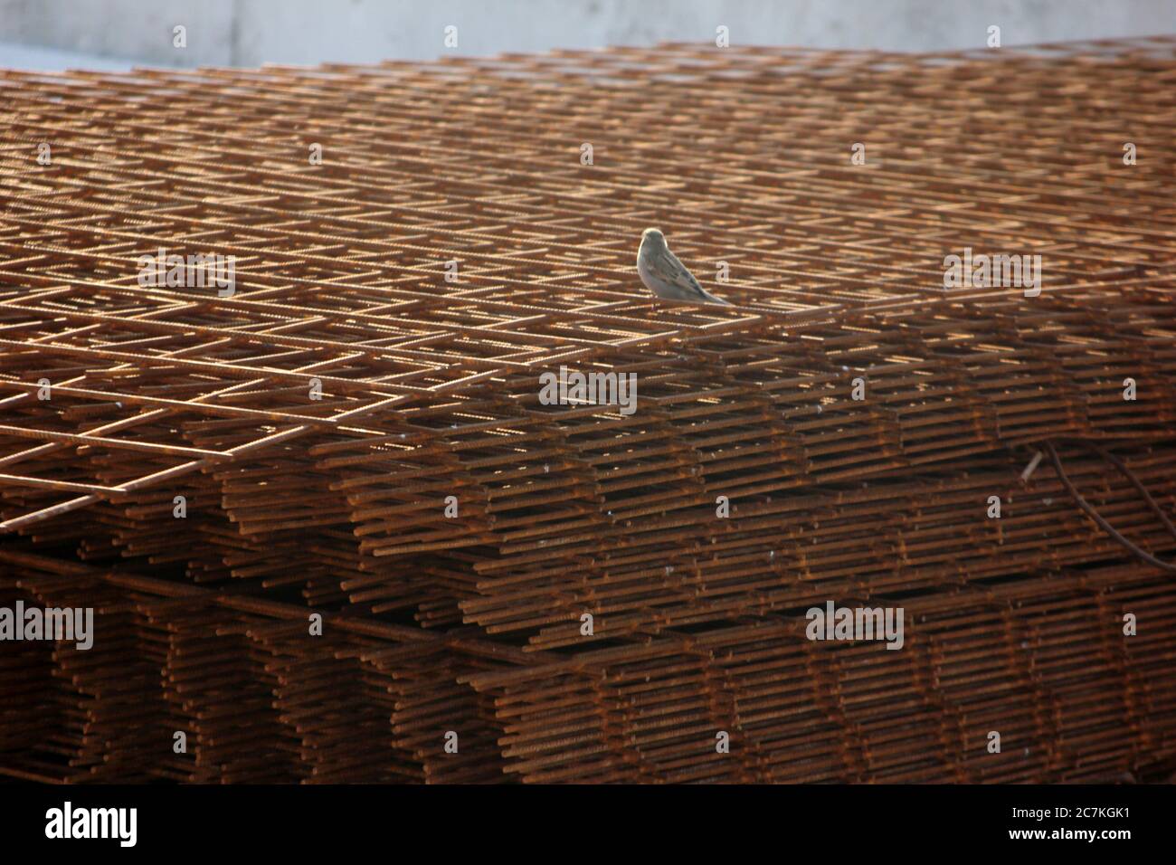 Reinforcement grating hi-res stock photography and images - Alamy