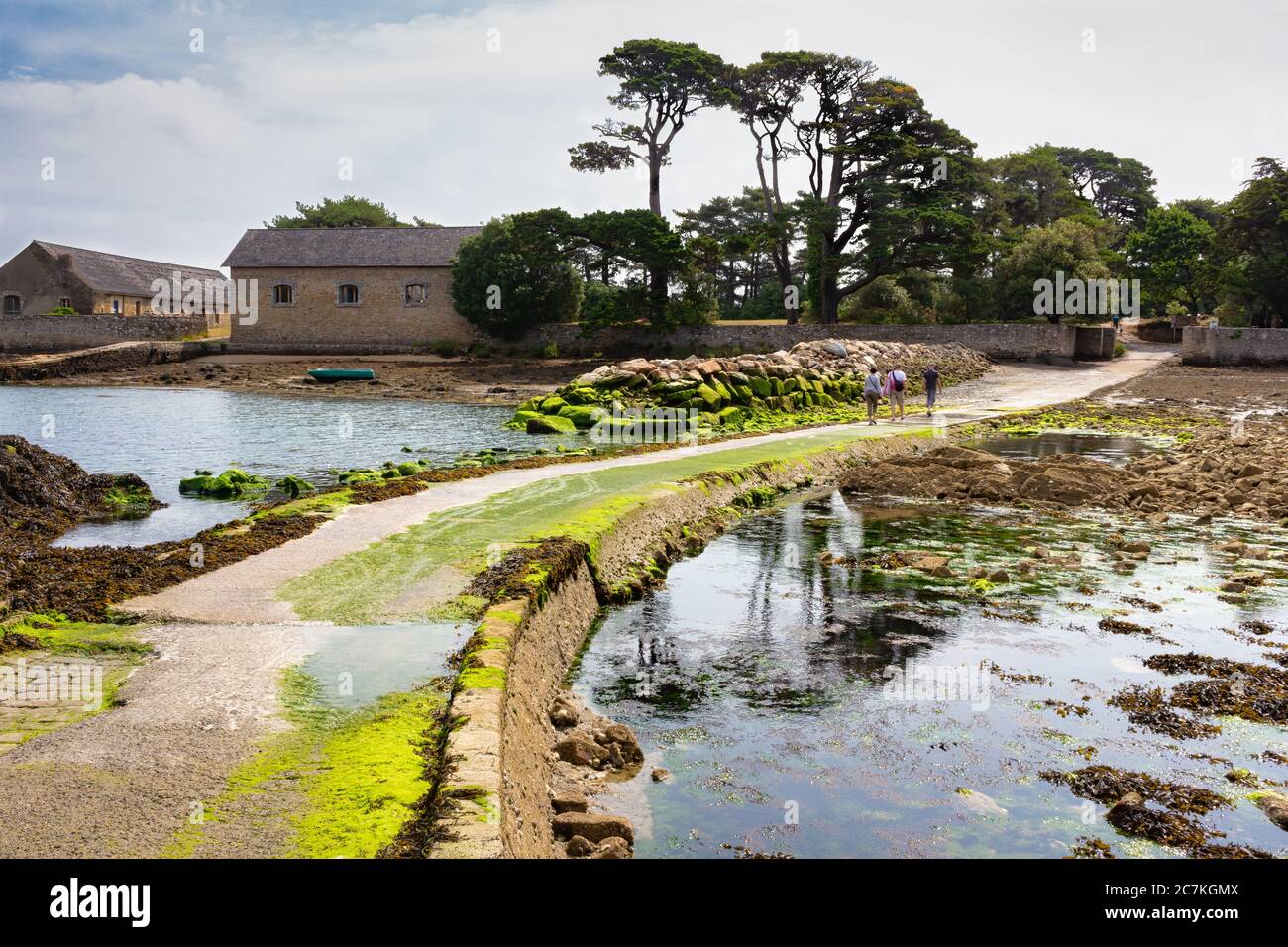ÎLE DE BERDE, BRITTANY, FRANCE: Step to access the Île de Berde, only ...