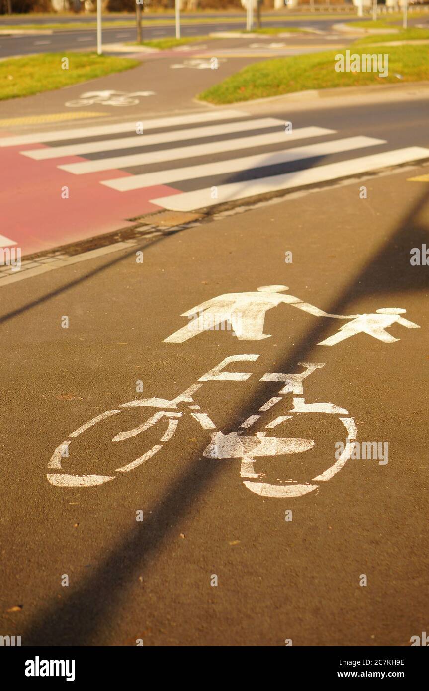 Vertical high angle shot of road signs on the ground for cyclists and ...