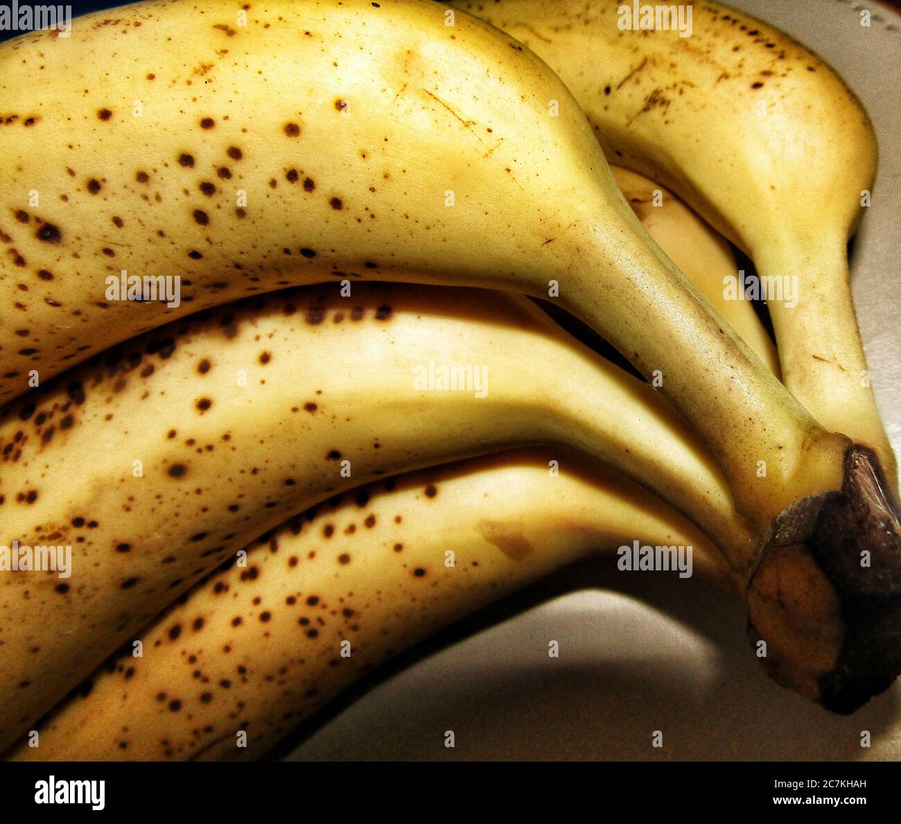 Various macro photography shots credit Ian Fairbrother/Alamy Stock ...