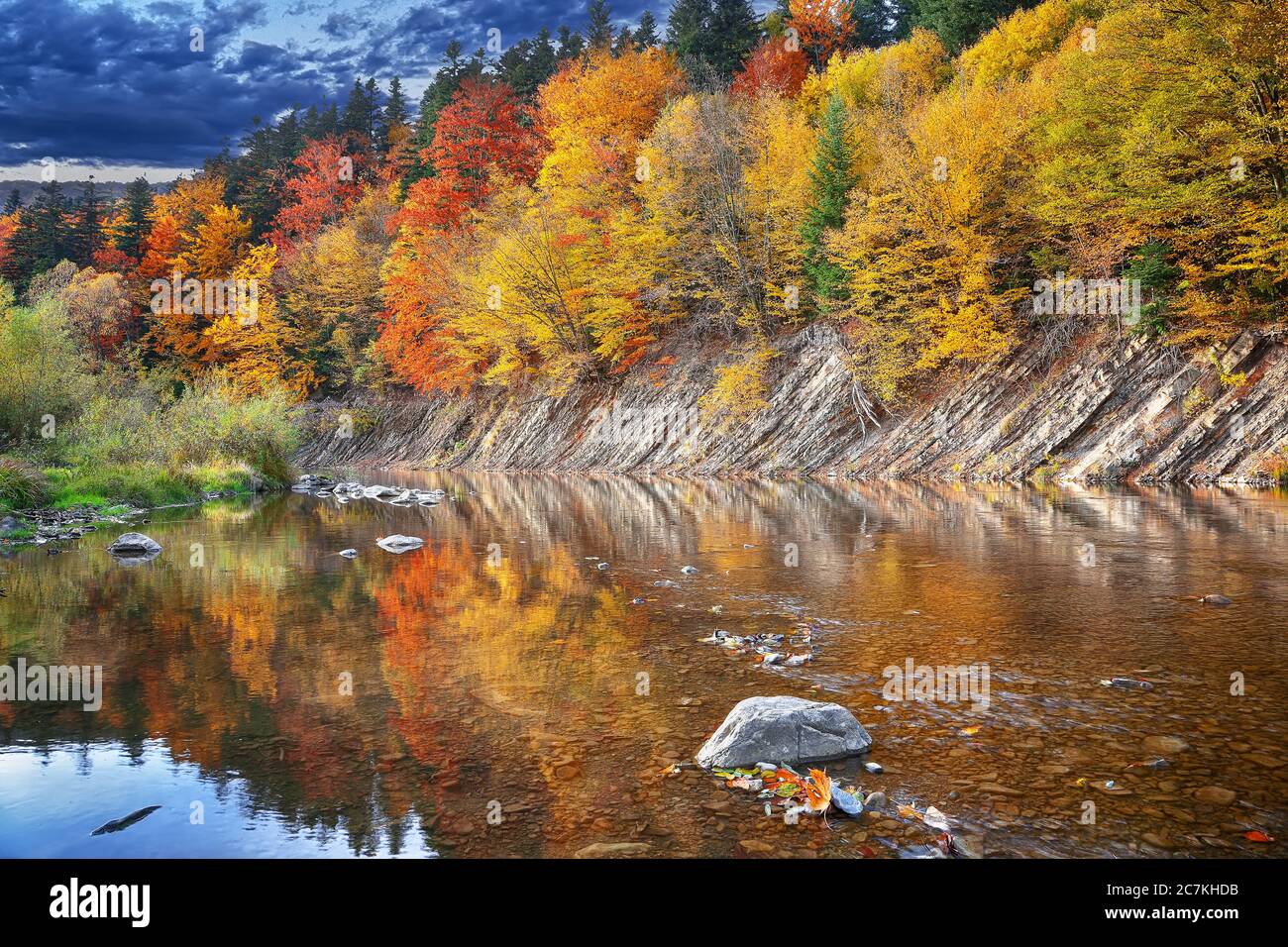 autumn forest by the river. Reflection in water Stock Photo - Alamy