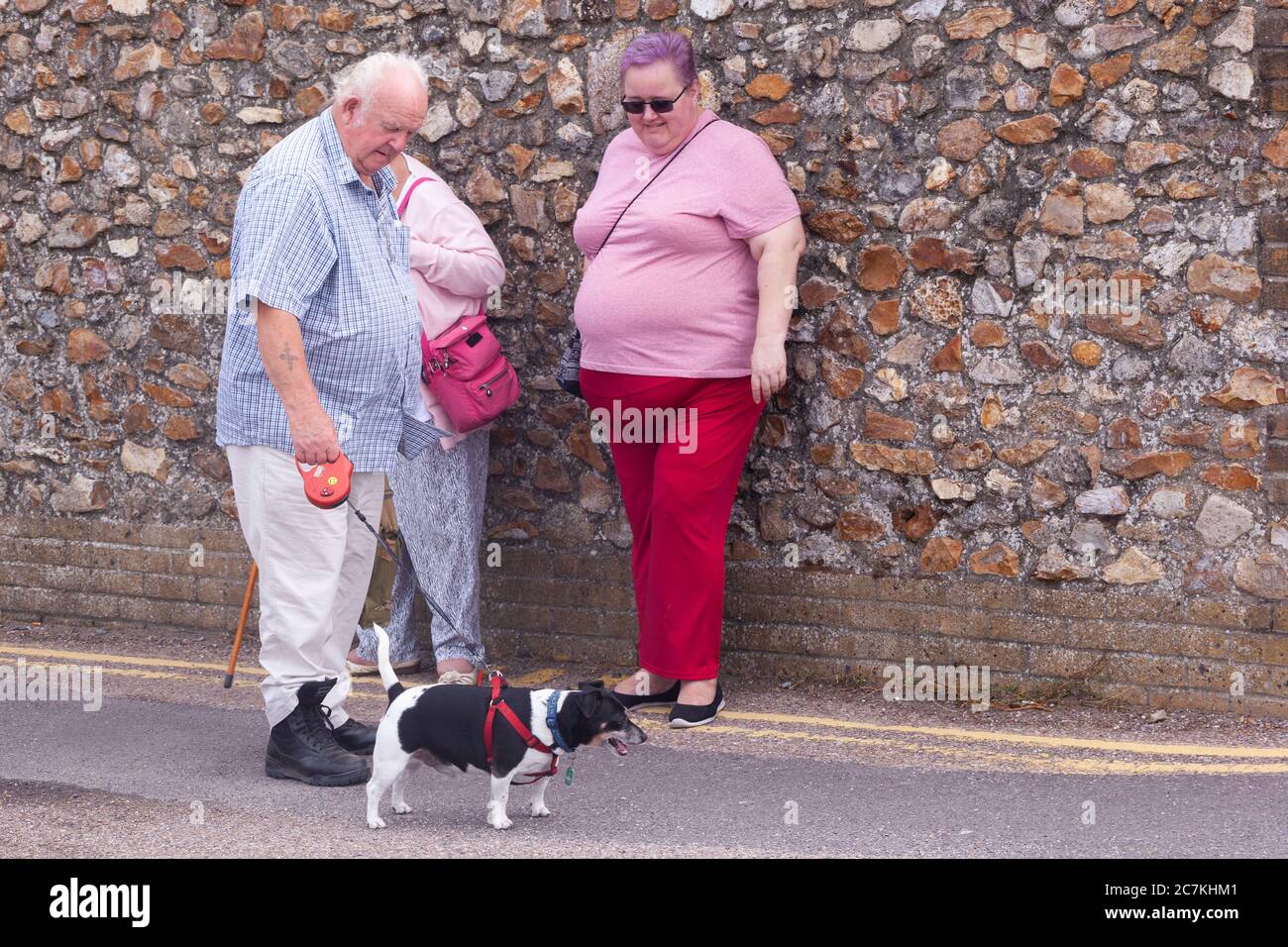 Love Your Pet Concept - Family on a outing with their pet dog Stock ...