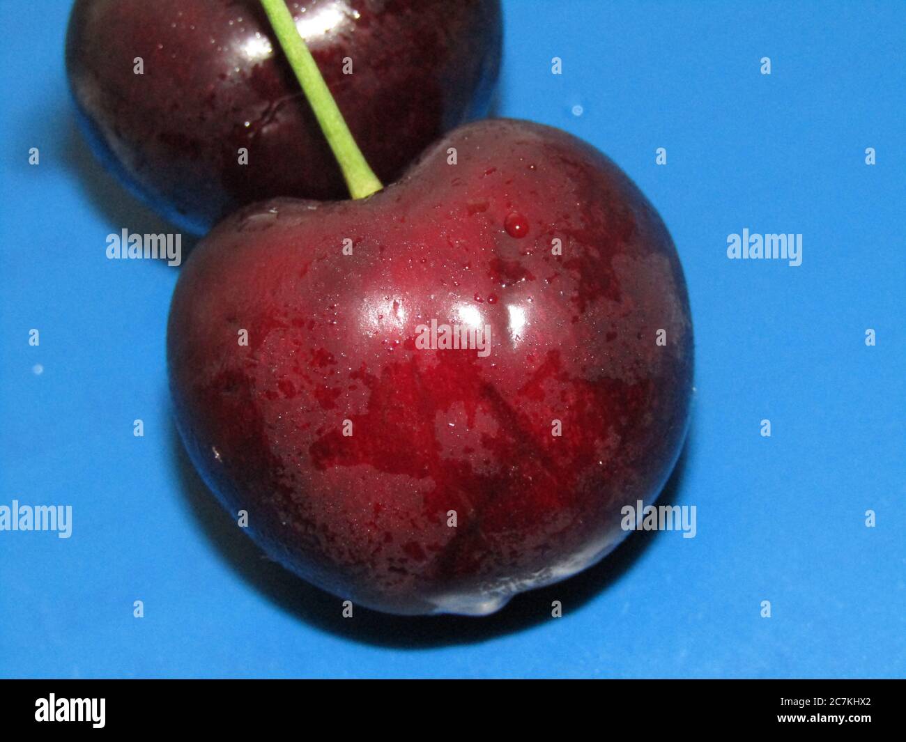 Various macro photography shots credit Ian Fairbrother/Alamy Stock ...