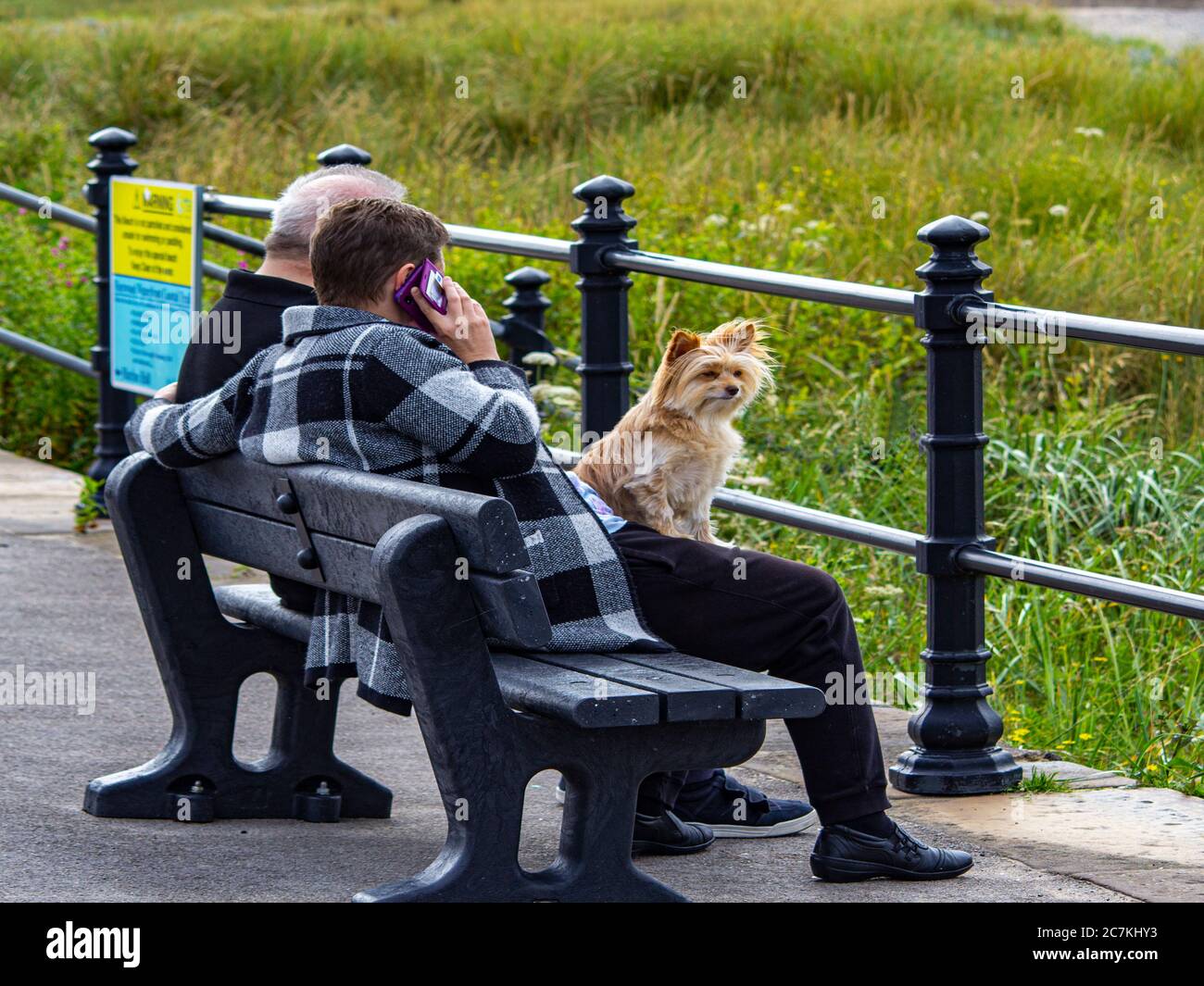 Conversation with dog hi-res stock photography and images - Alamy