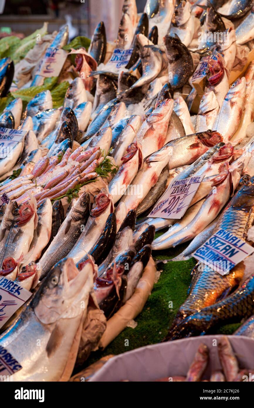 Fish, fish market, supply, fishing, self-catering Stock Photo - Alamy