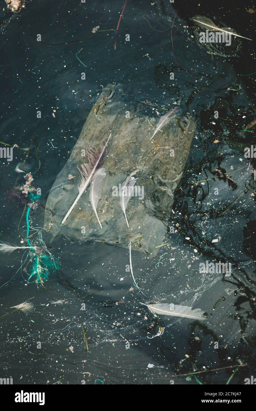 Waste, marine pollution, microplastics, garbage disposal, sea, garbage ...