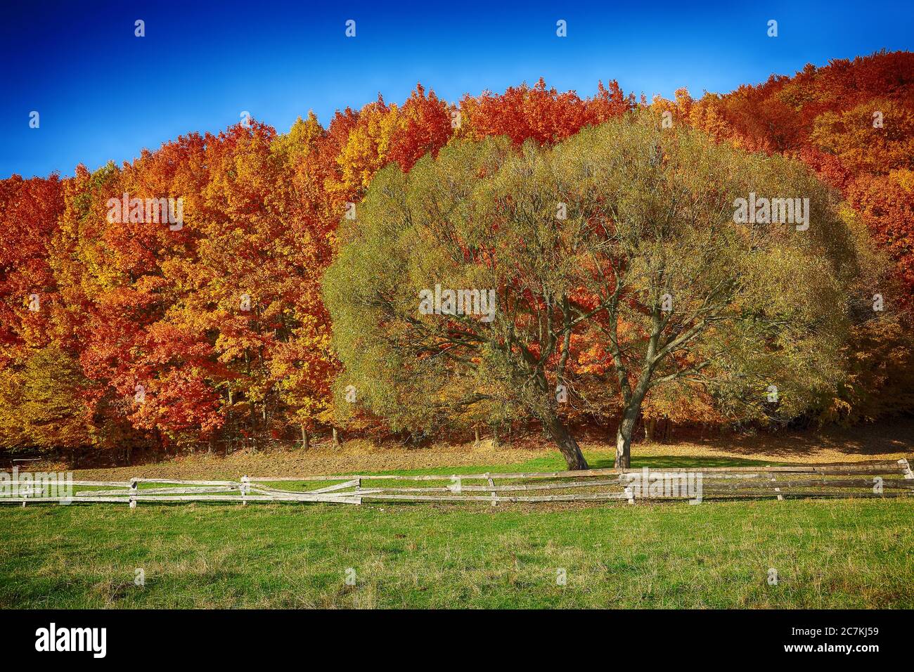 Season blue sky hi-res stock photography and images - Alamy