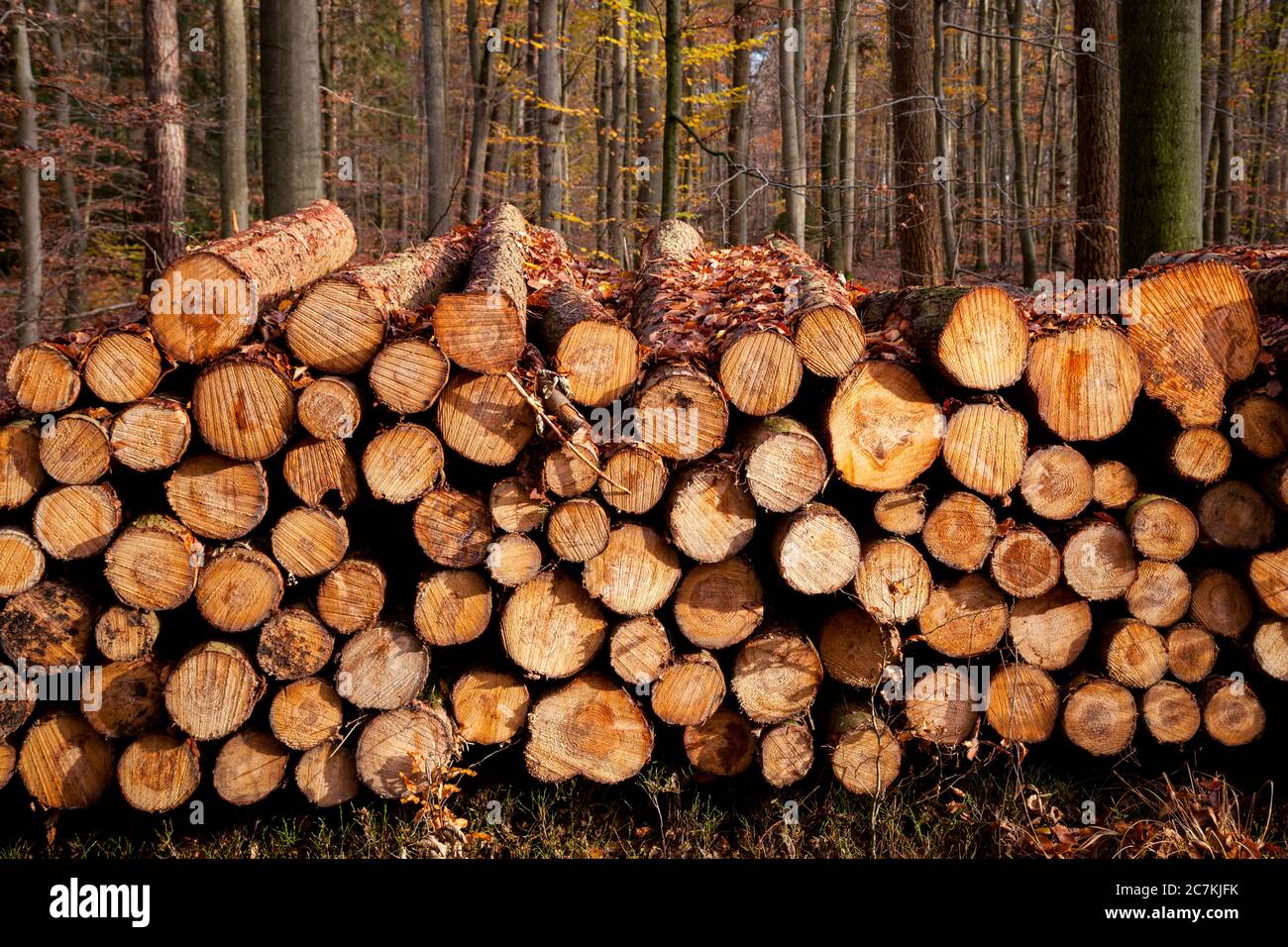 Wood, timber industry, stack, stock, piled up Stock Photo - Alamy