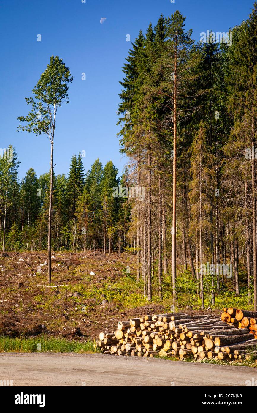 Stack clearing hi-res stock photography and images - Alamy