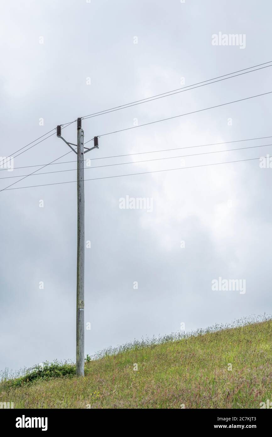 Local domestic electricity distribution utility pole. Metaphor National ...