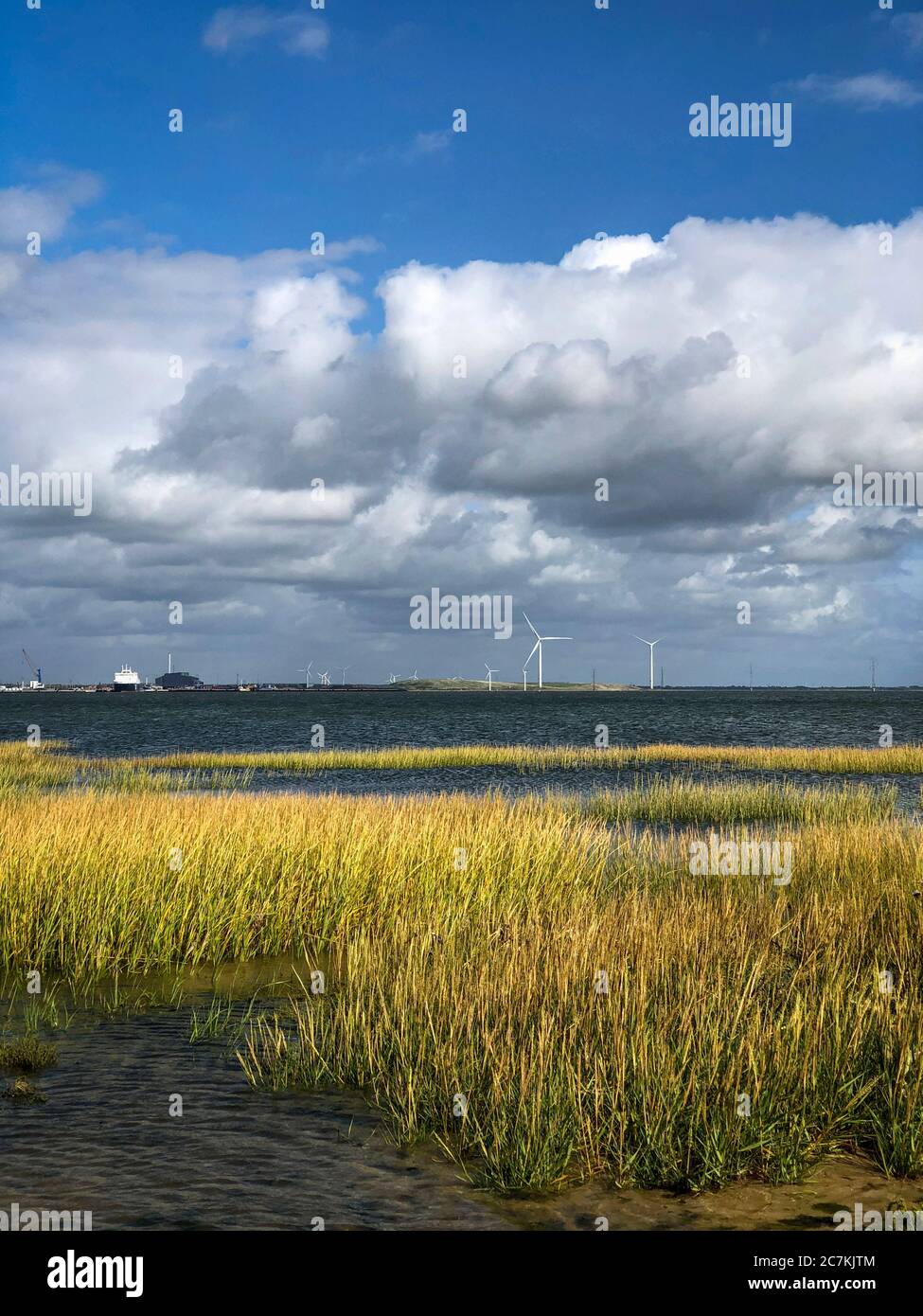 Disembarkation port for wind turbines, wind energy, energy transition ...