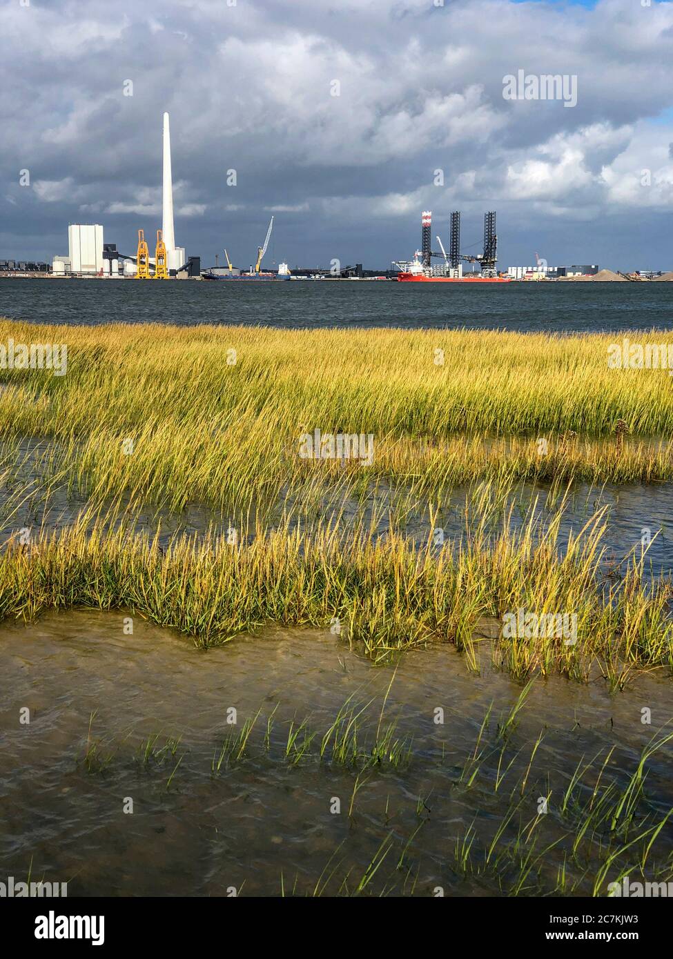 Disembarkation port for wind turbines, wind energy, energy transition ...