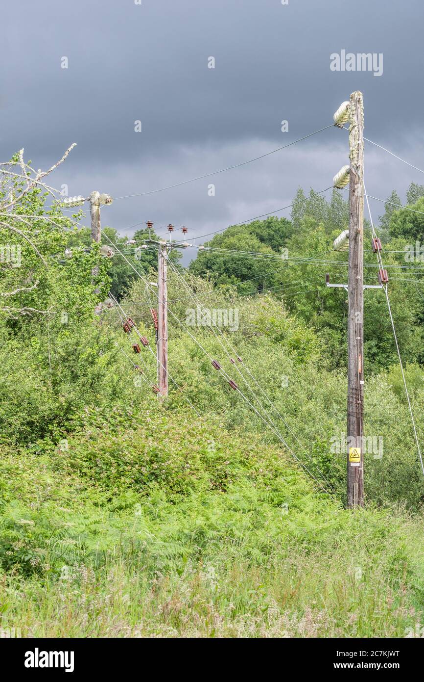 Local domestic electricity distribution utility pole. Metaphor National ...