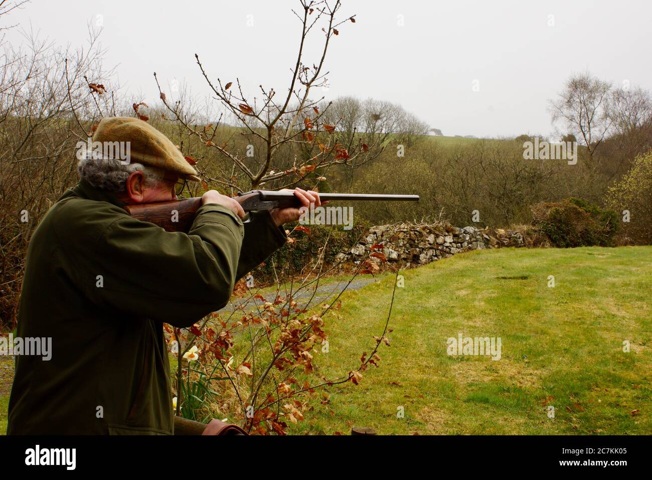 Gun-fitting, English Side By Side, Shotgun, 1904 Shotgun, Side Lock ...