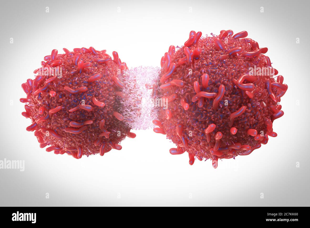 The process of cell division by mitosis hi-res stock photography and ...