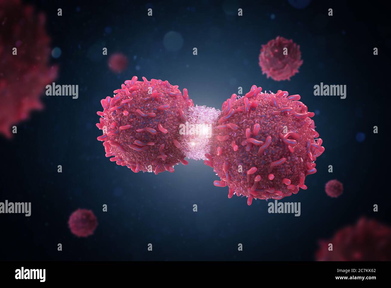 Cancer cell division hi-res stock photography and images - Alamy