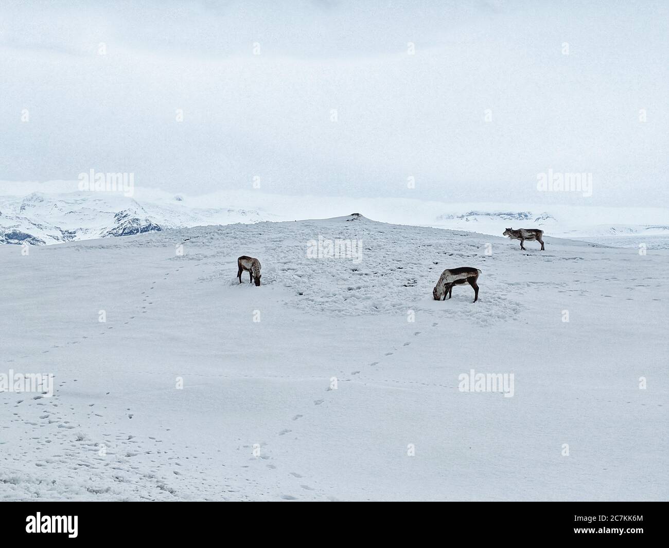 Grassy area hi-res stock photography and images - Alamy