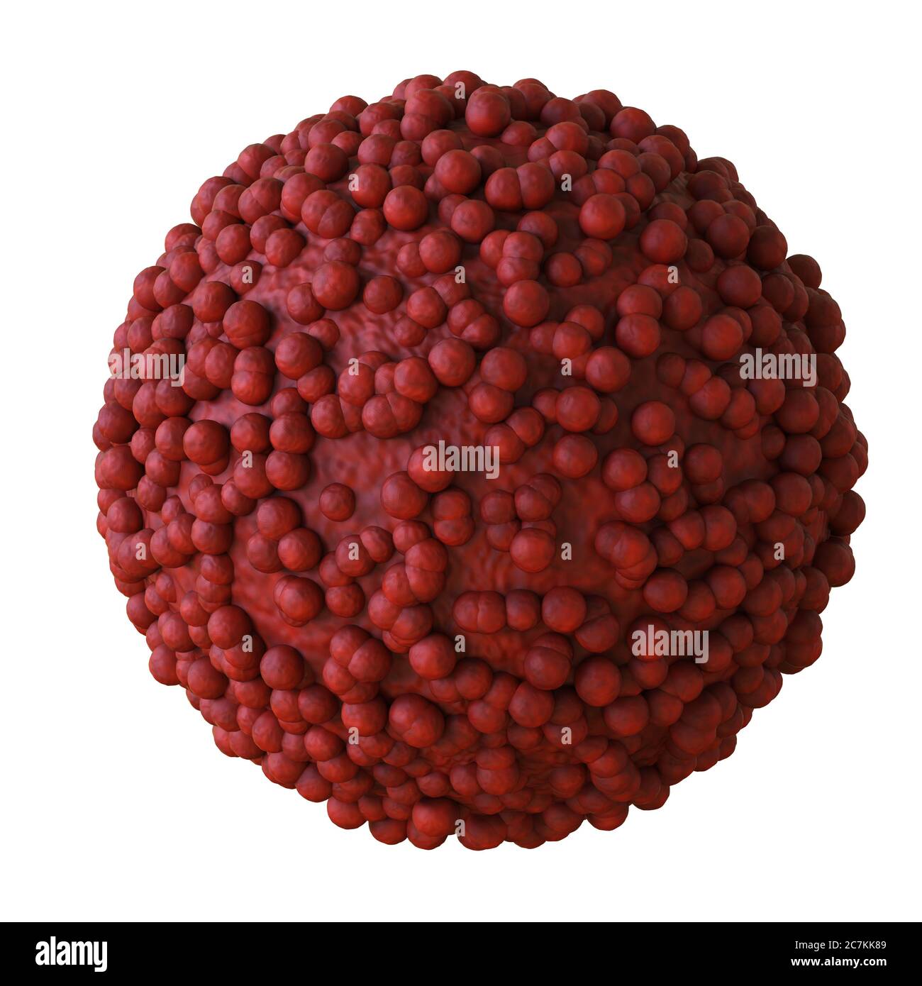 3d rendering red cancer cell isolated on white Stock Photo - Alamy