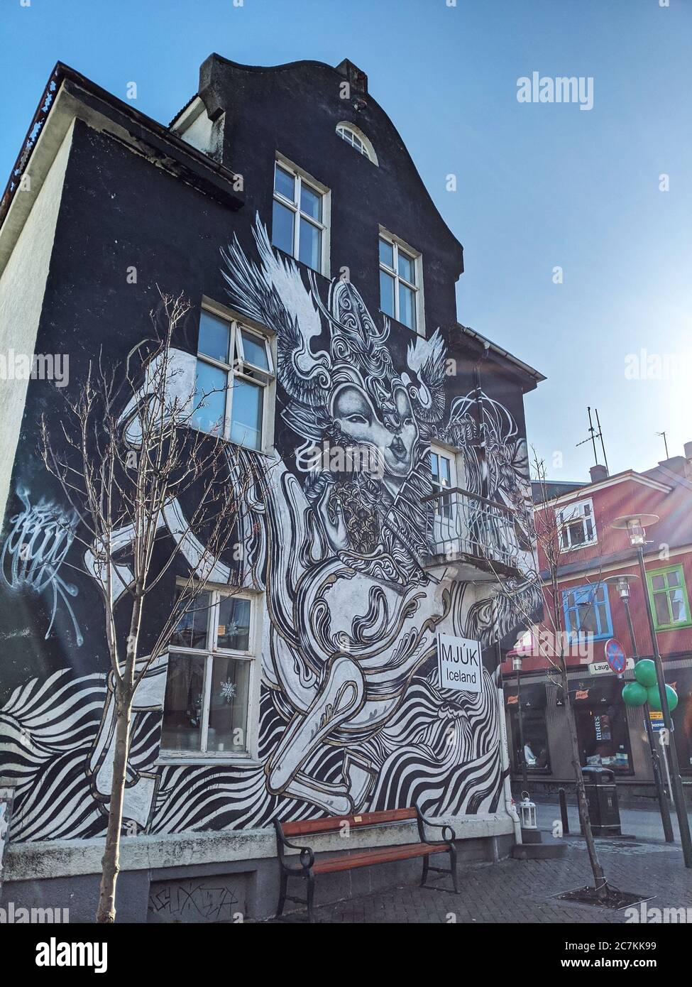 Viking woman in black and white, artist Caratoes in Iceland's capital ...