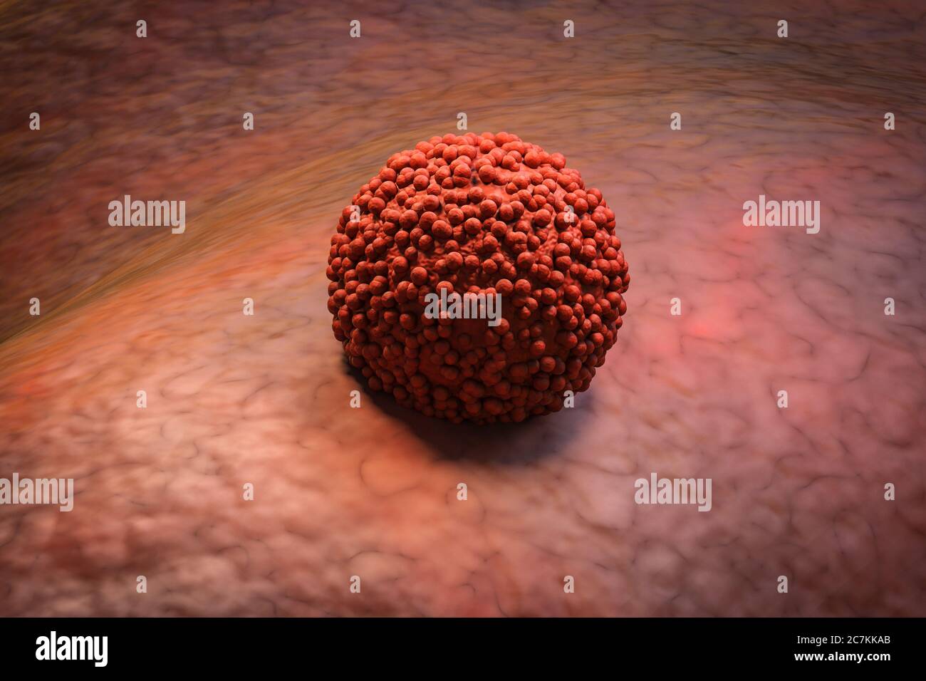 3d rendering red cancer cell in blood Stock Photo - Alamy