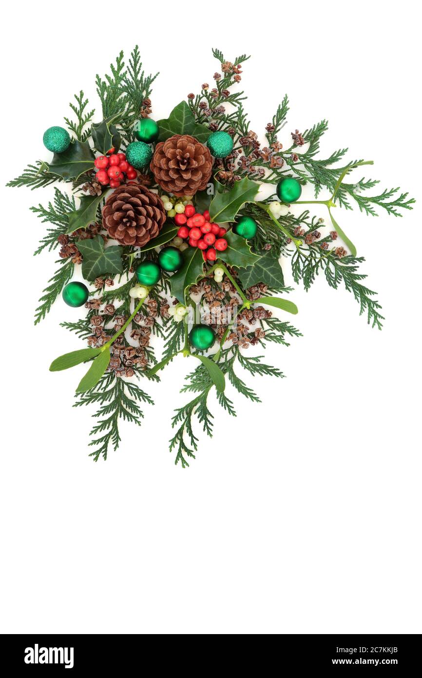 Winter greenery cedar cypress Cut Out Stock Images & Pictures - Alamy