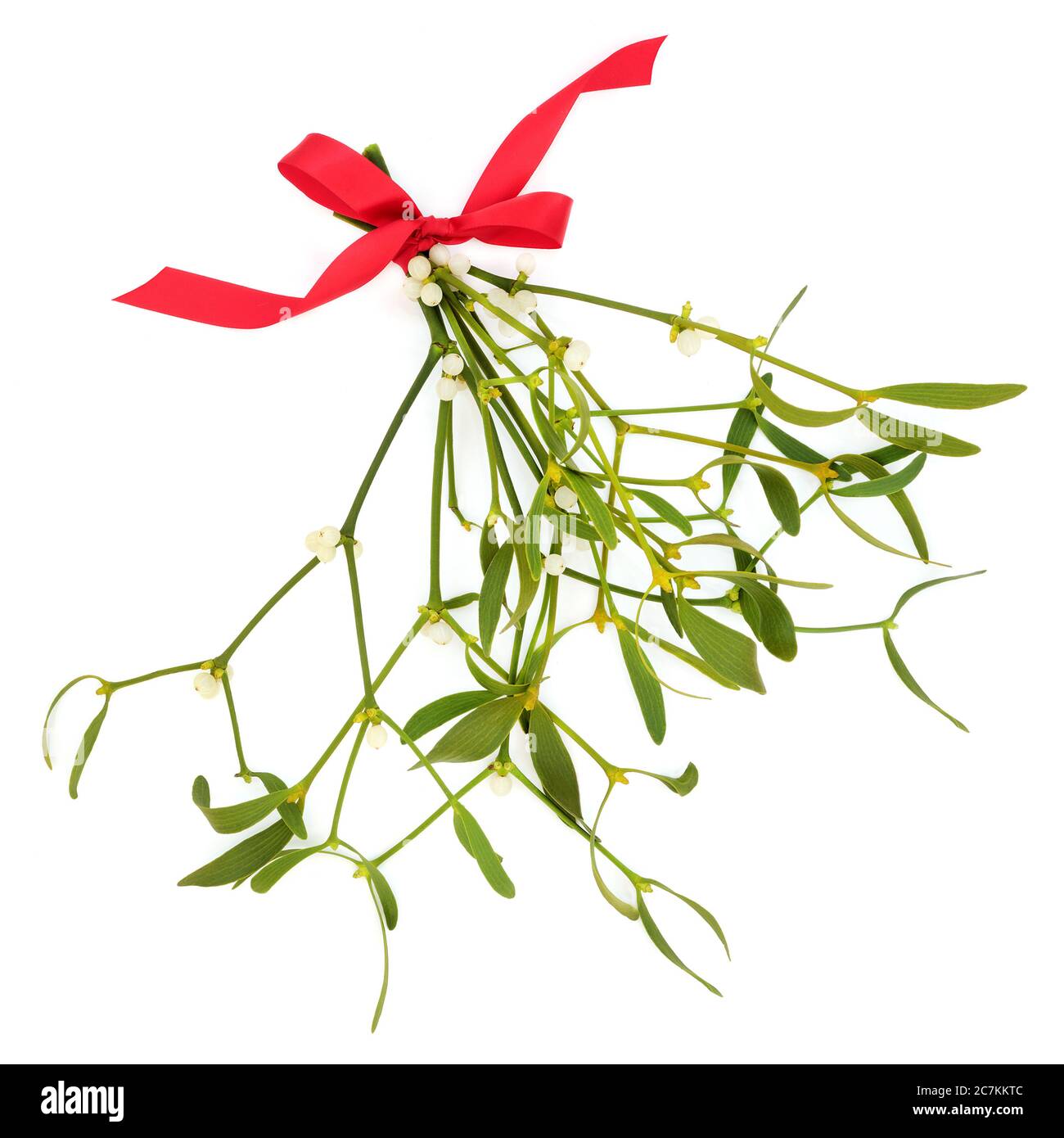 Mistletoe bunch tied with a red bow on white background. Decorative ...