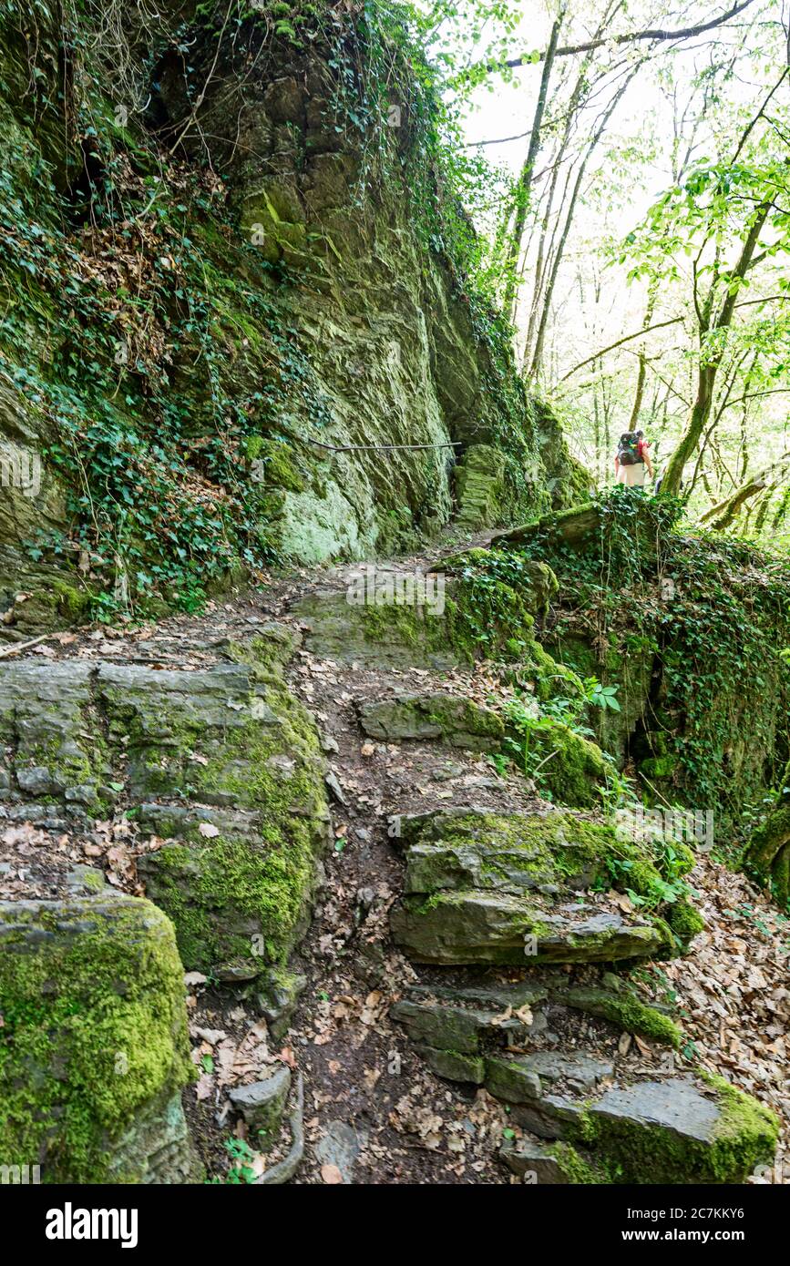 Adventurous path with stone steps in the Ehrbach gorge Stock Photo - Alamy