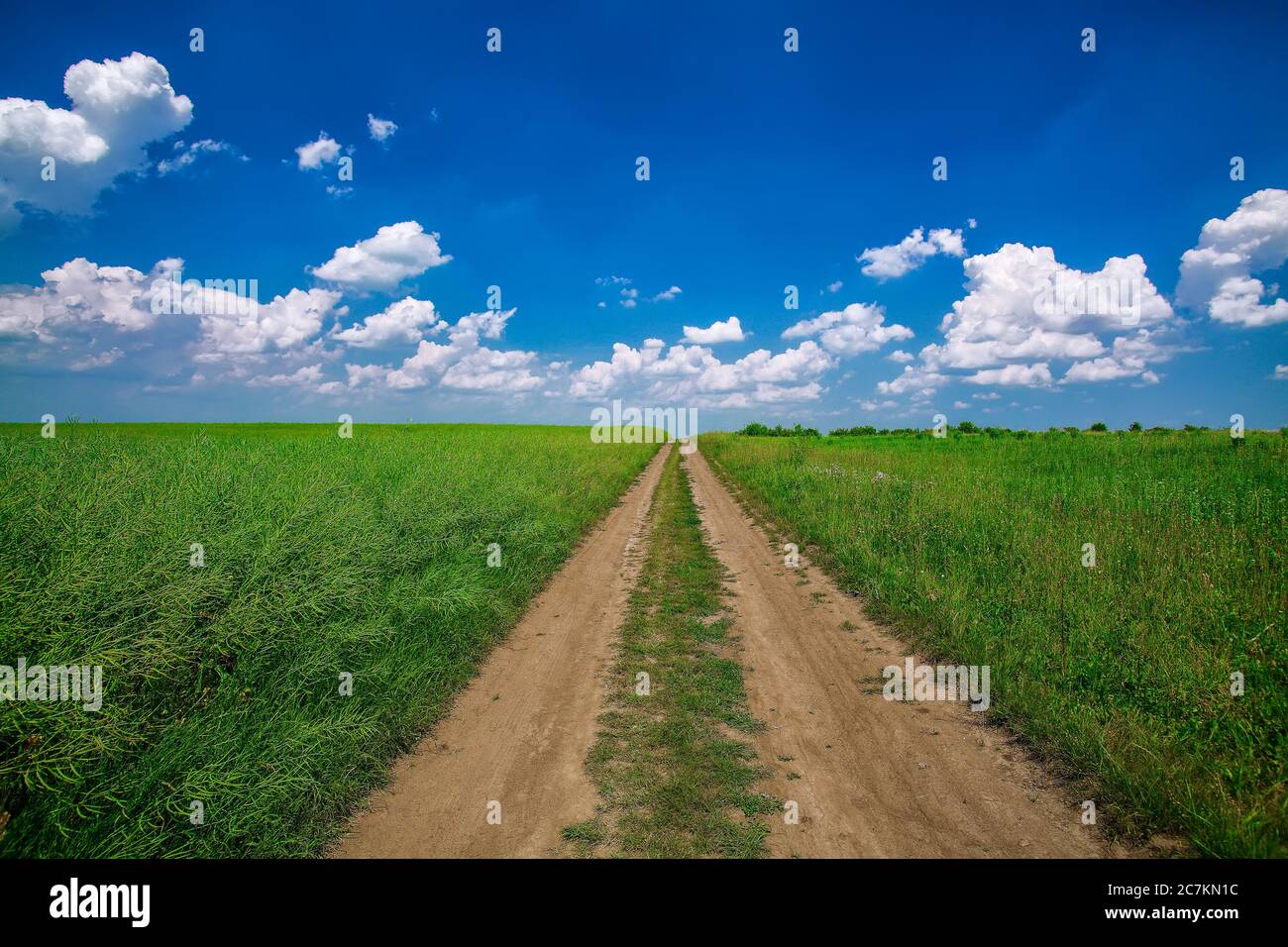 Summer landscape with green grass, road and clouds Stock Photo - Alamy