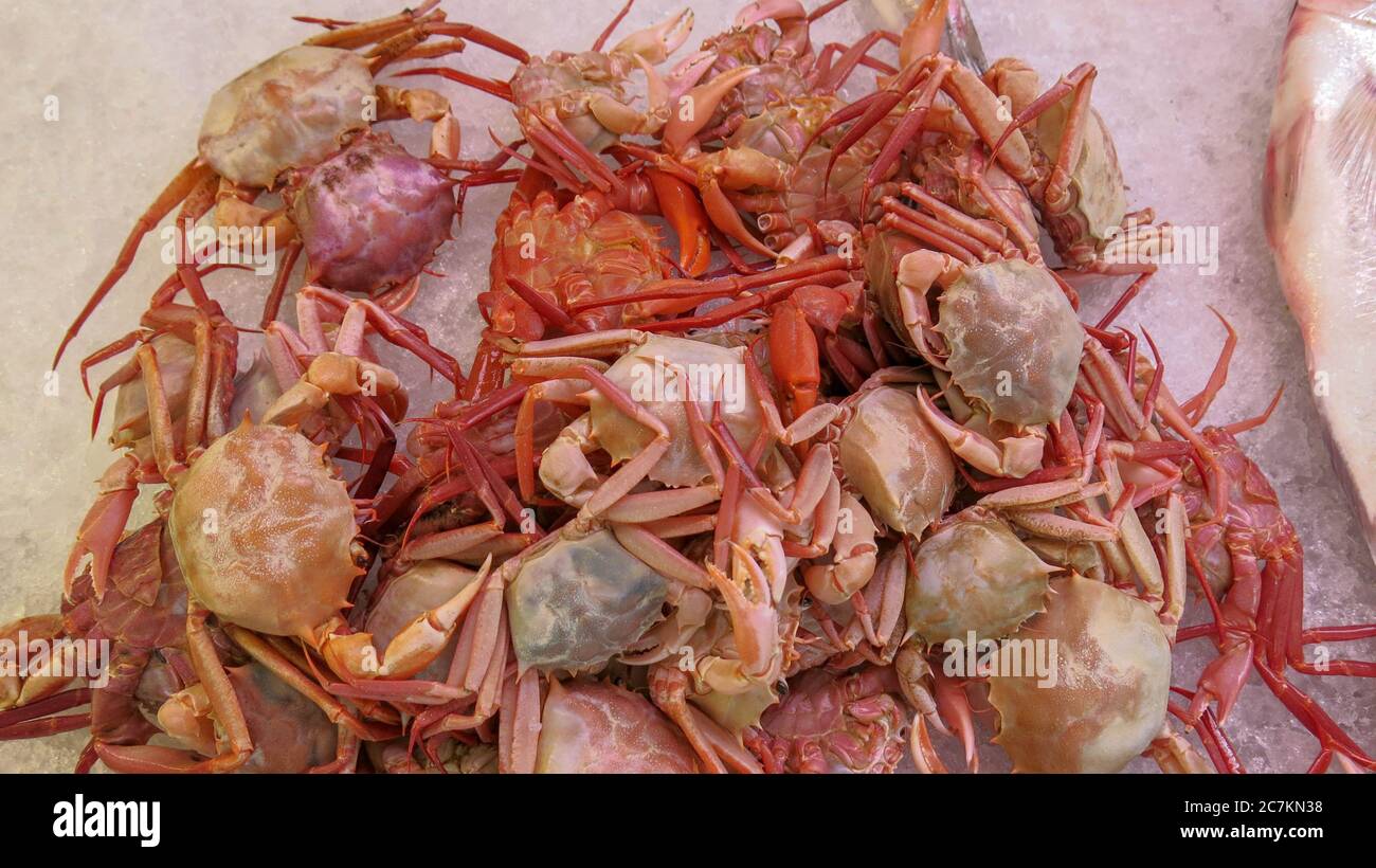 Fish Market in Menorca Mahon. Fresh fish and seafood chilled on ice ...