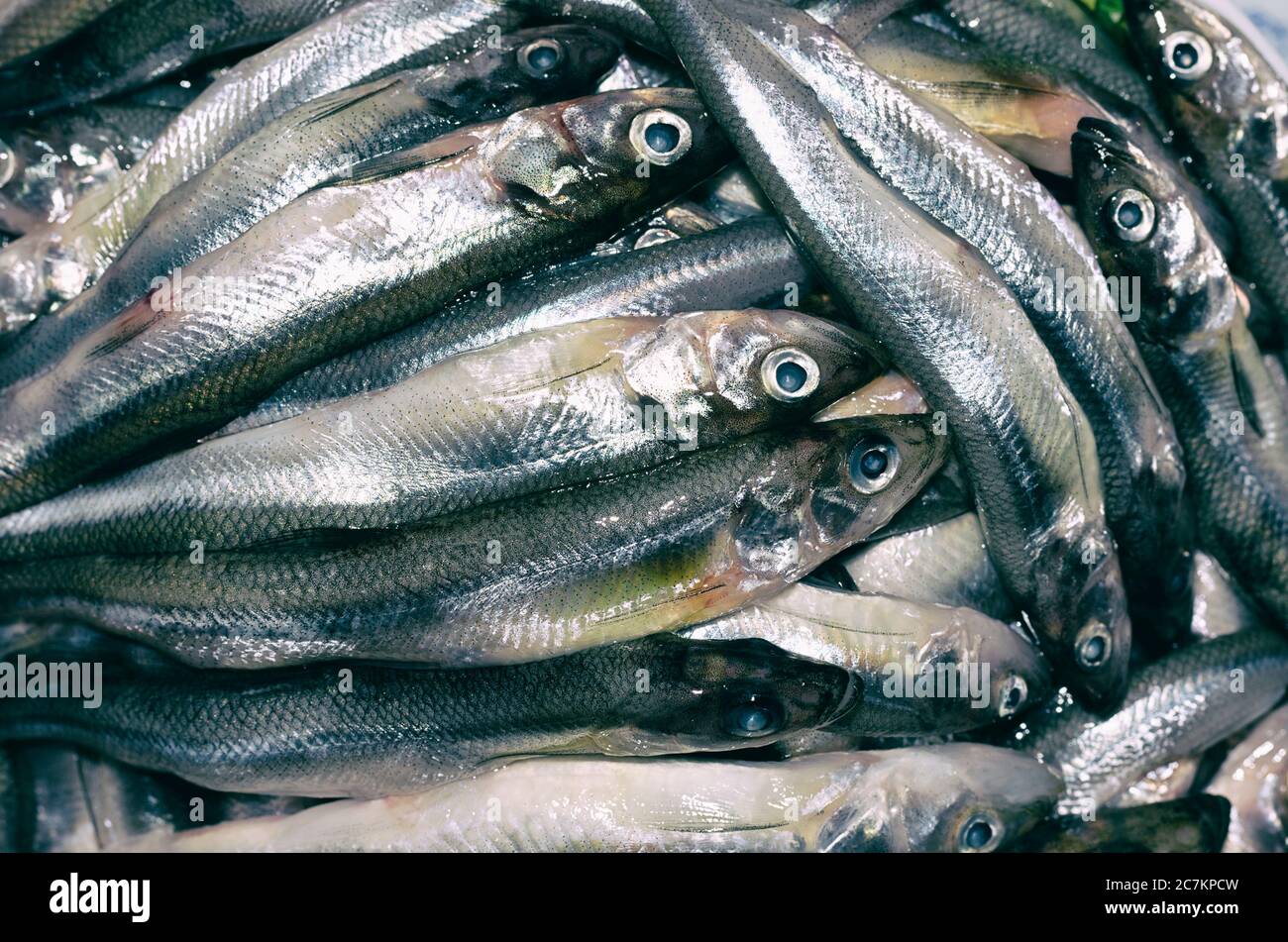Silver smelt hi-res stock photography and images - Alamy
