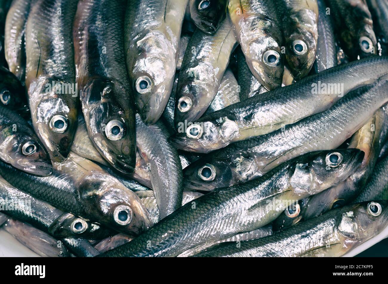 European smelt fish hi-res stock photography and images - Alamy