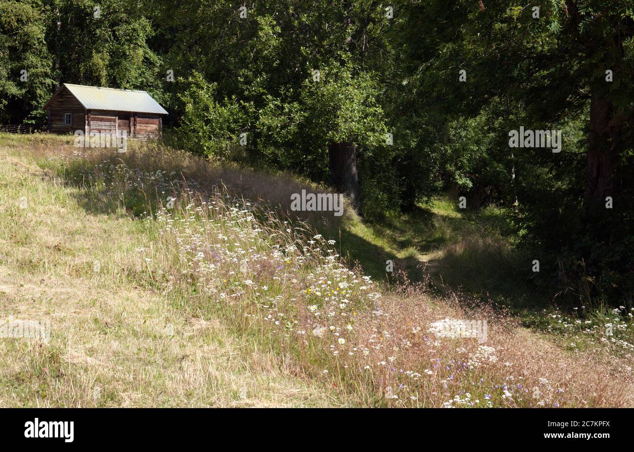 Wooden barn, timber building in the farmland, rural countryside Stock ...