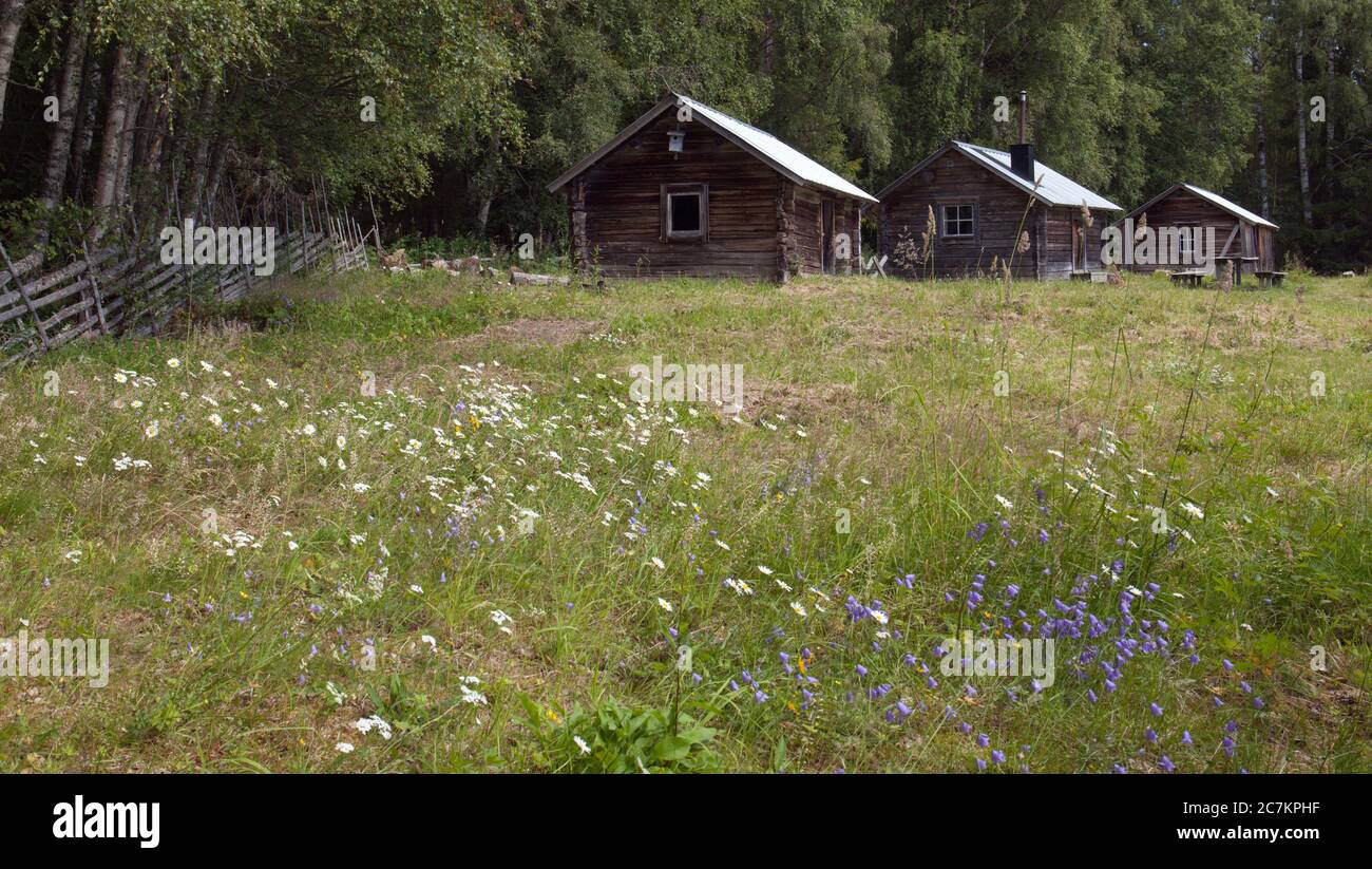 Wooden barn, timber building in the farmland, rural countryside Stock ...