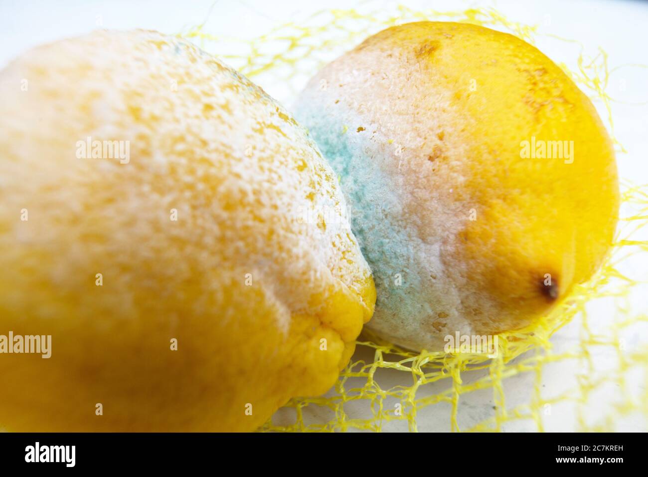 Lemons infested with mold Stock Photo - Alamy