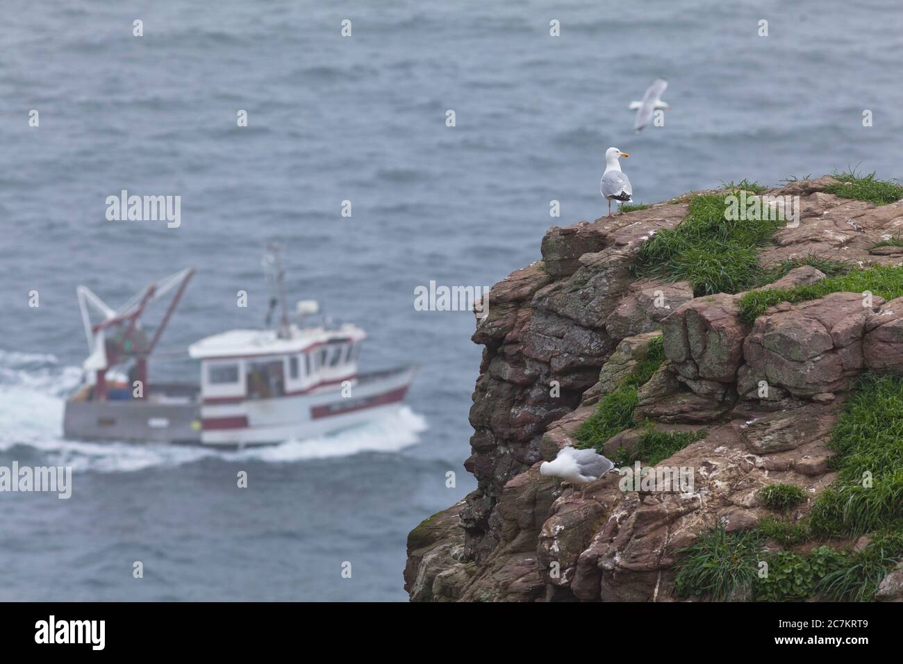 Angler fishing boat north sea hi-res stock photography and images - Alamy