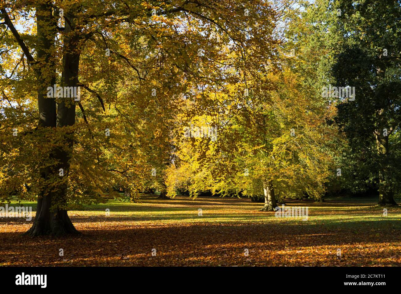 Belton house country house lincolnshire hi-res stock photography and ...