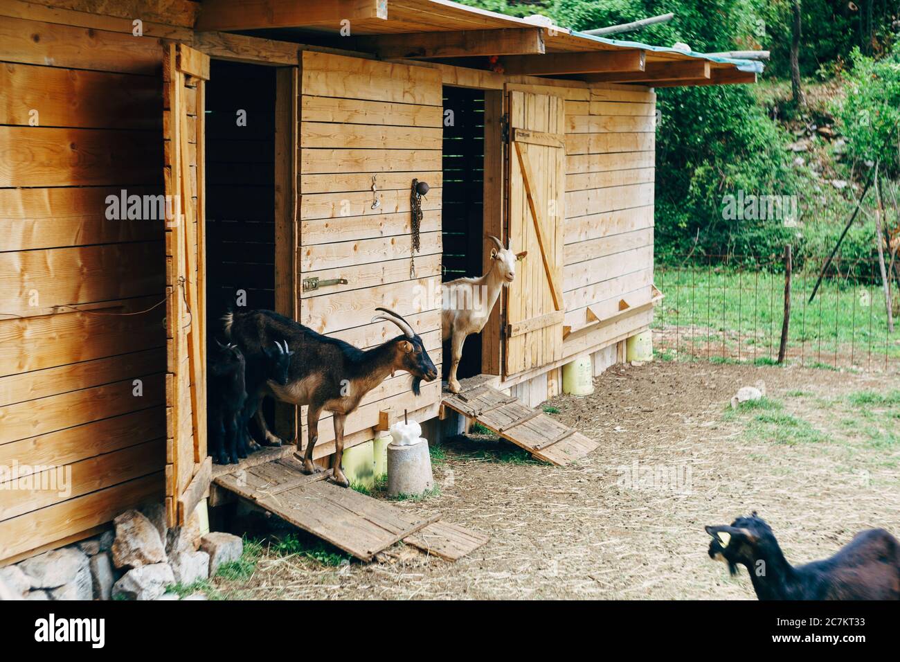 Outside the paddock entrance hi-res stock photography and images - Alamy