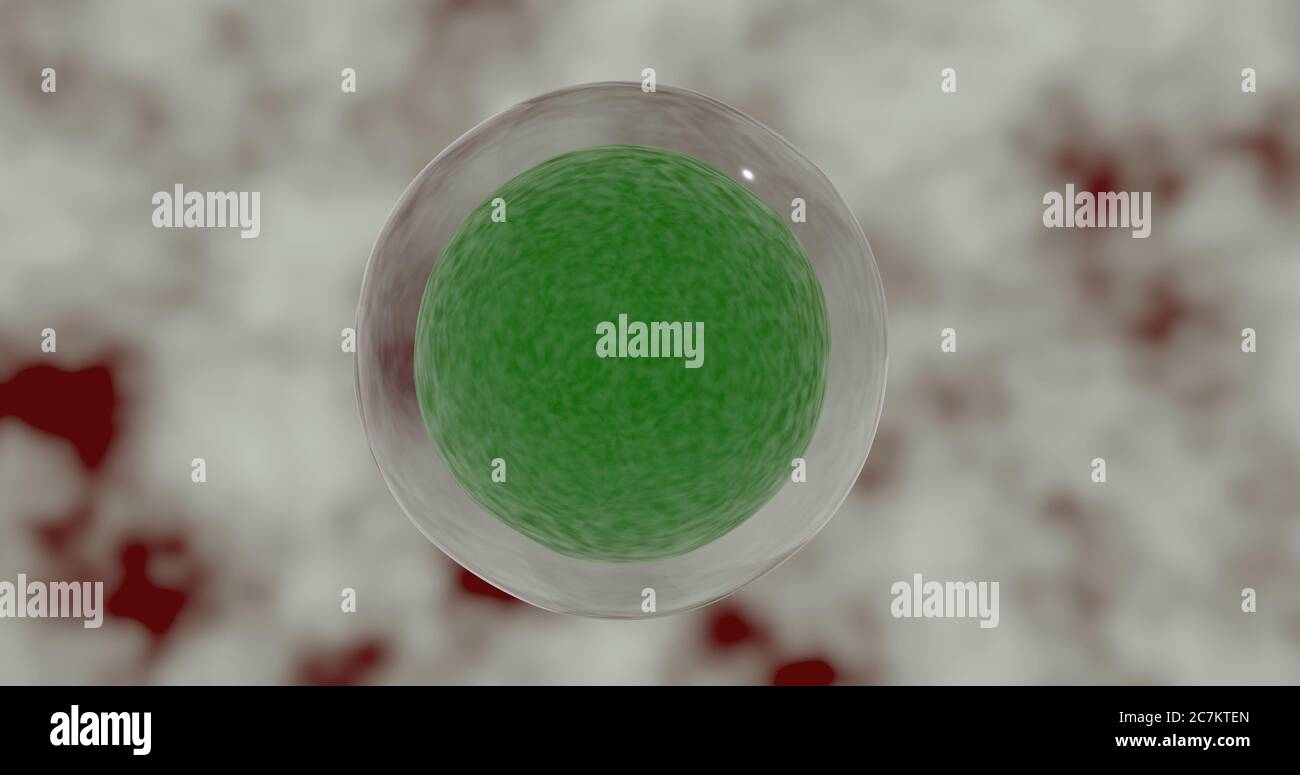 Lymphocyte or cell with big nucleus in 3d illustration Stock Photo - Alamy