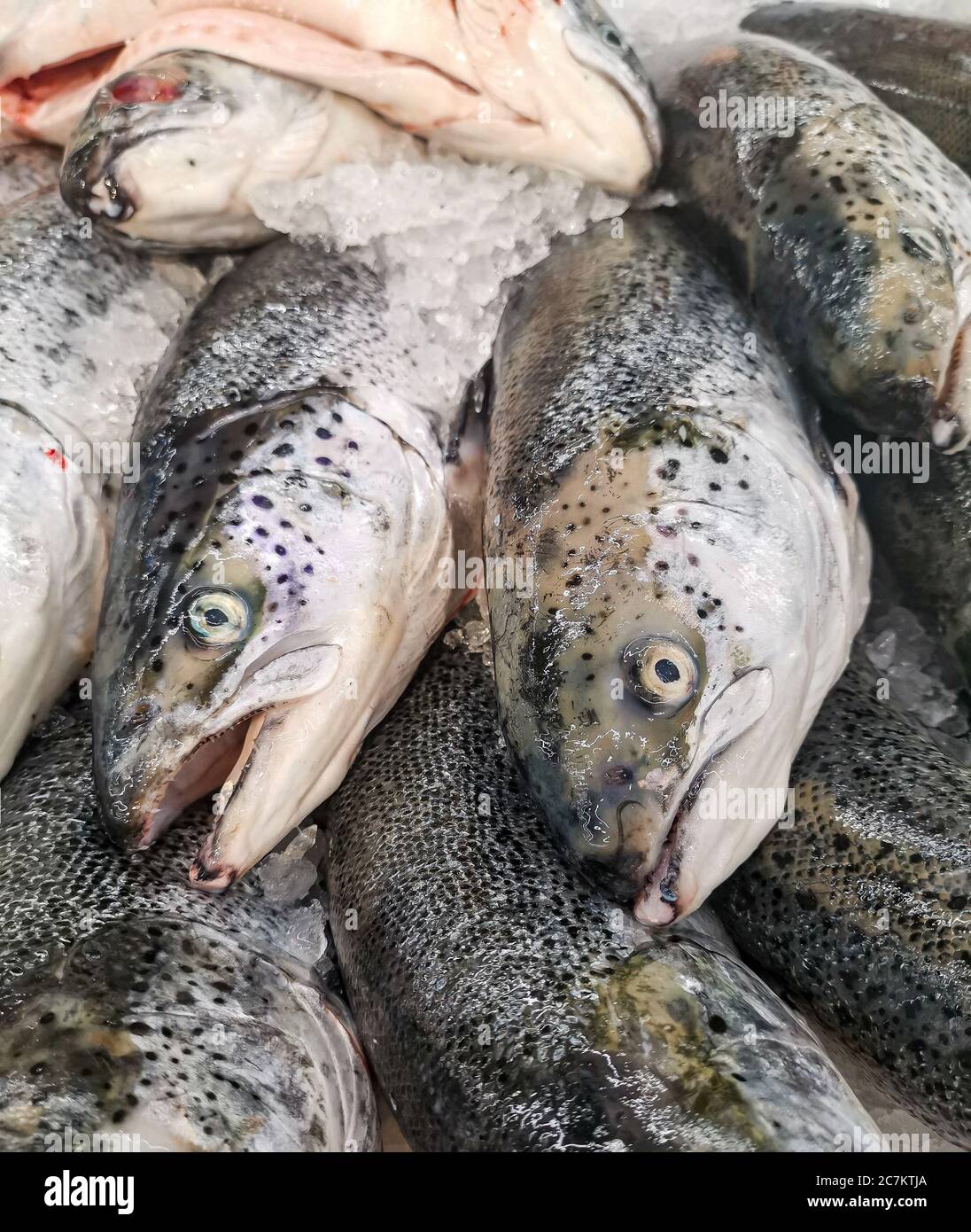 Shot gourmet fish dish hi-res stock photography and images - Alamy