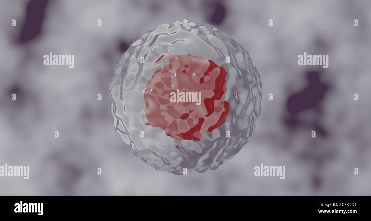 Nucleated cell in 3d illustration Stock Photo - Alamy