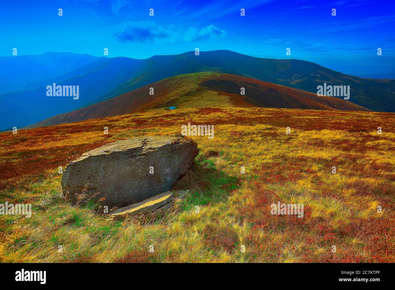 Meadows winding road green hi-res stock photography and images - Alamy